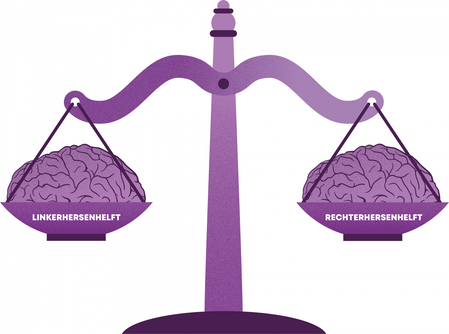 Hersenweetjes - Hersenstichting