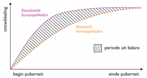 Puberhersenen - Hersenstichting