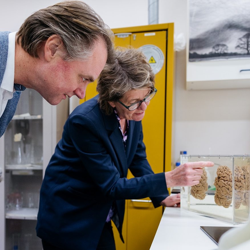 Home - Hersenstichting